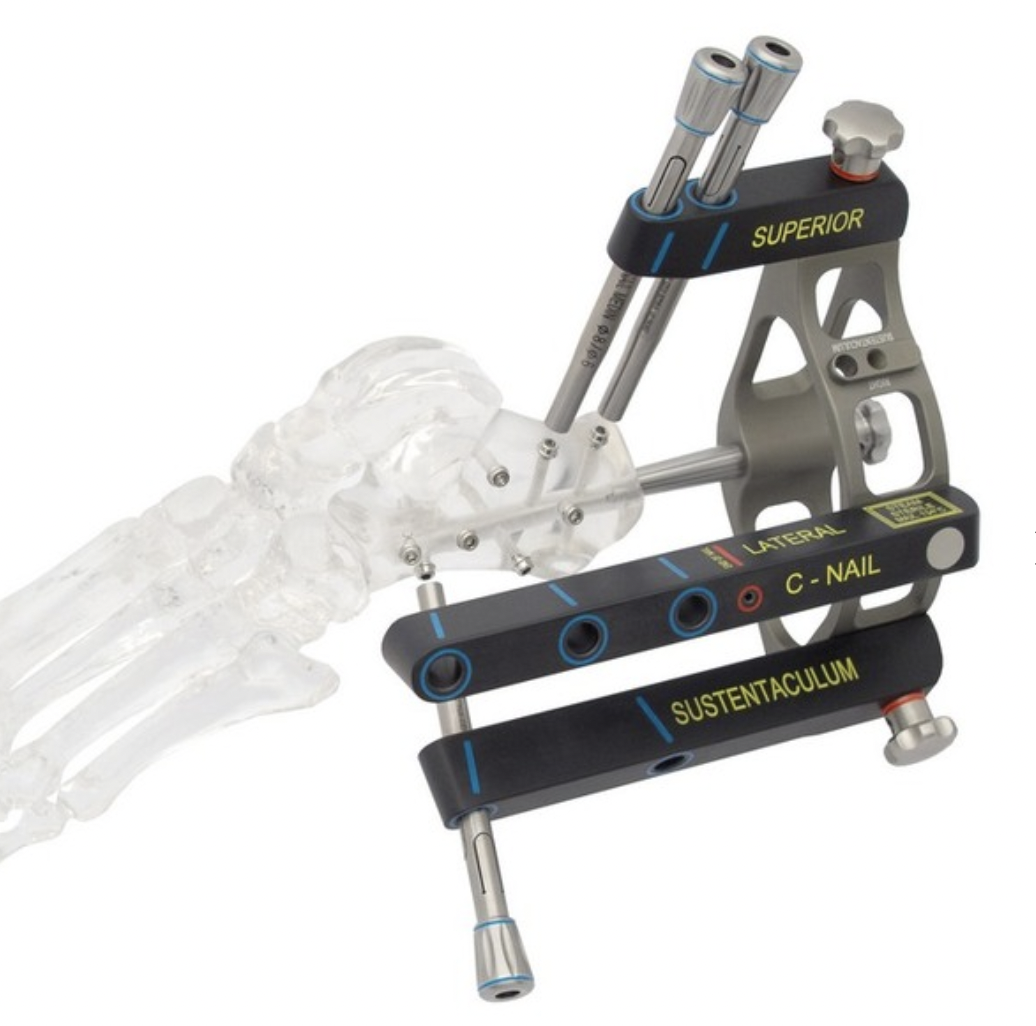 Management | The Bone School